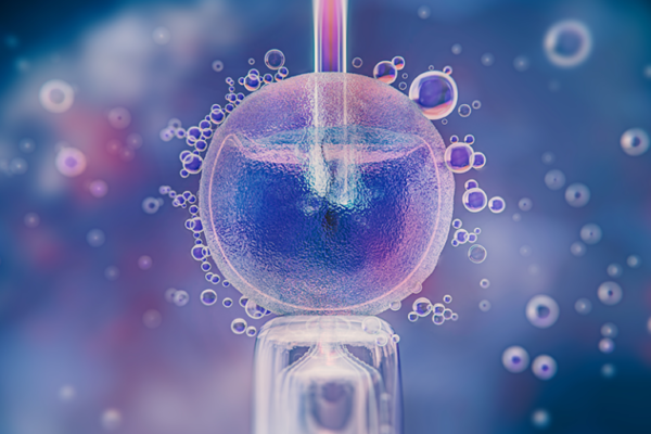 PICSI Treatment at Delfinium Fertility & IVF Centre - Dr. Nalini Gupta